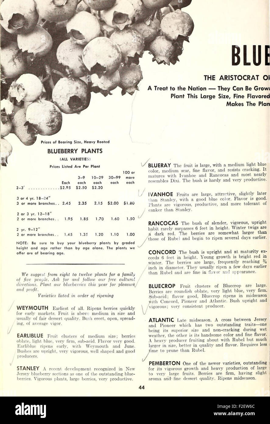 The 'Planting Guide' is a vintage horticultural catalog offering ...