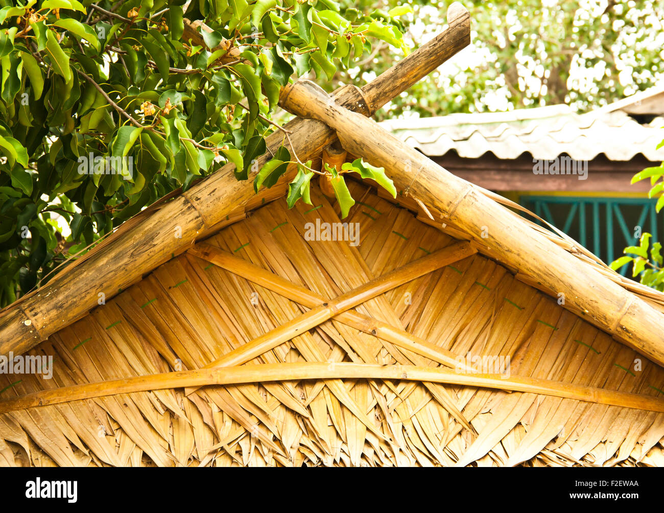 Front of the roof made of leaves Stock Photo - Alamy