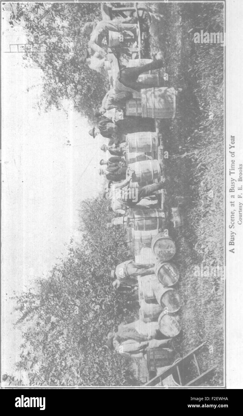 'Practical Orcharding on Rough Lands' (1911) offers practical advice on ...