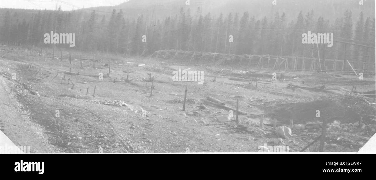 This report discusses strategies for forest fire protection along ...