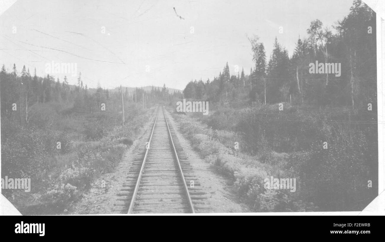 'Railroad Forest Fire Protection' (1915) is a guide focusing on ...