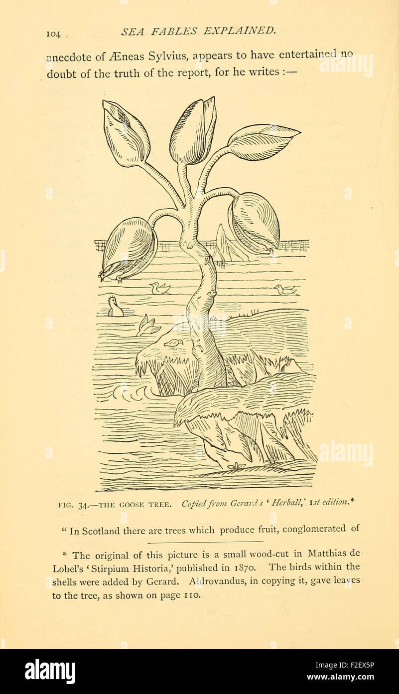 *Sea Fables Explained* offers a historical and folkloric perspective on ...