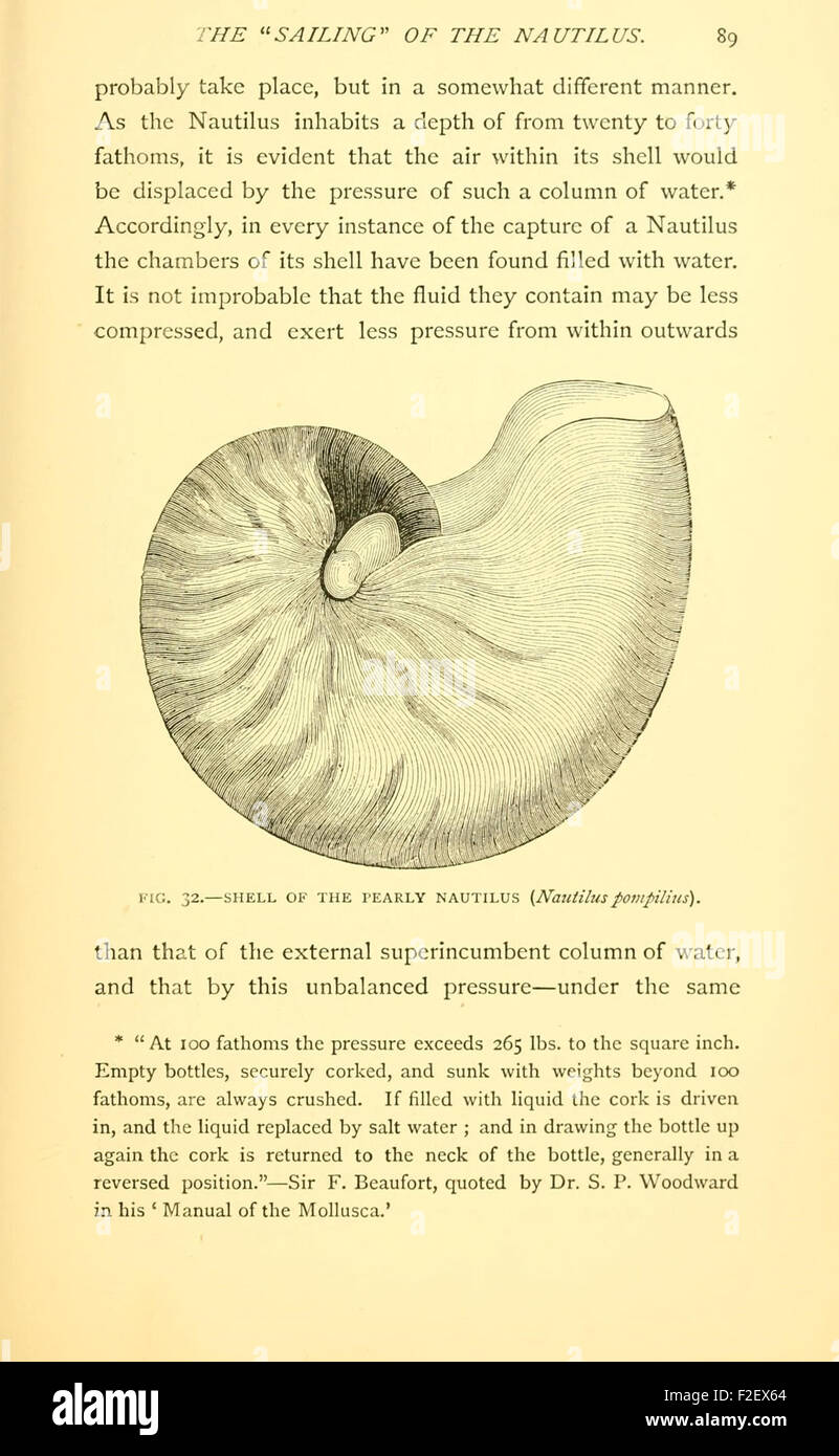 'Sea Fables Explained' explores ocean-related folklore and legends ...