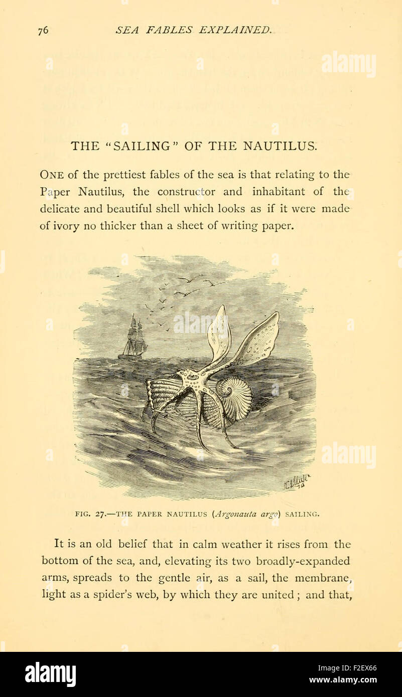 'Sea Fables Explained' explores the meaning and origins of ocean ...