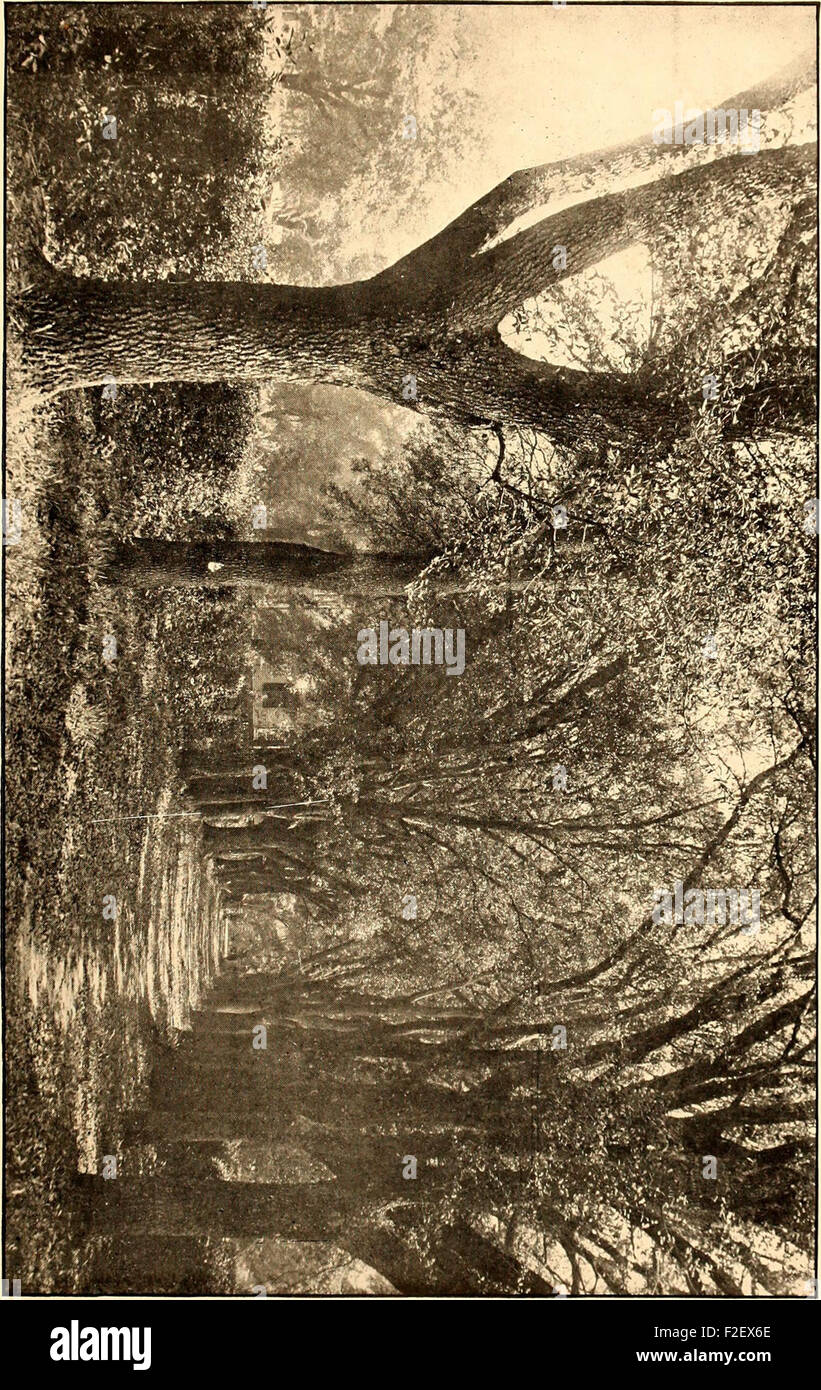 SHC 1830-1905 (1905 Stock Photo - Alamy