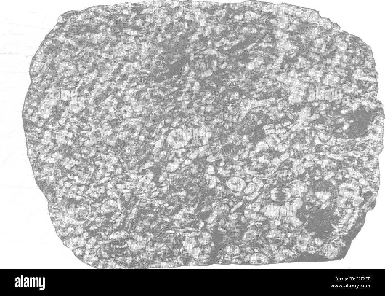 Soils map Black and White Stock Photos & Images - Alamy