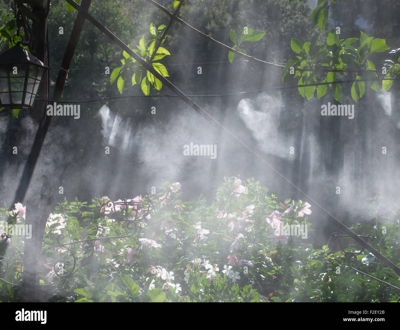 Nebulization system water for commercial premises in summer Stock Photo ...