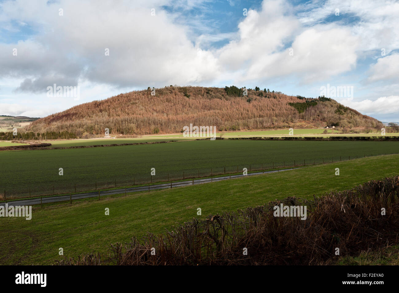 Burfa Camp, an Iron Age hill fort near Old Radnor in Powys, Wales, UK ...