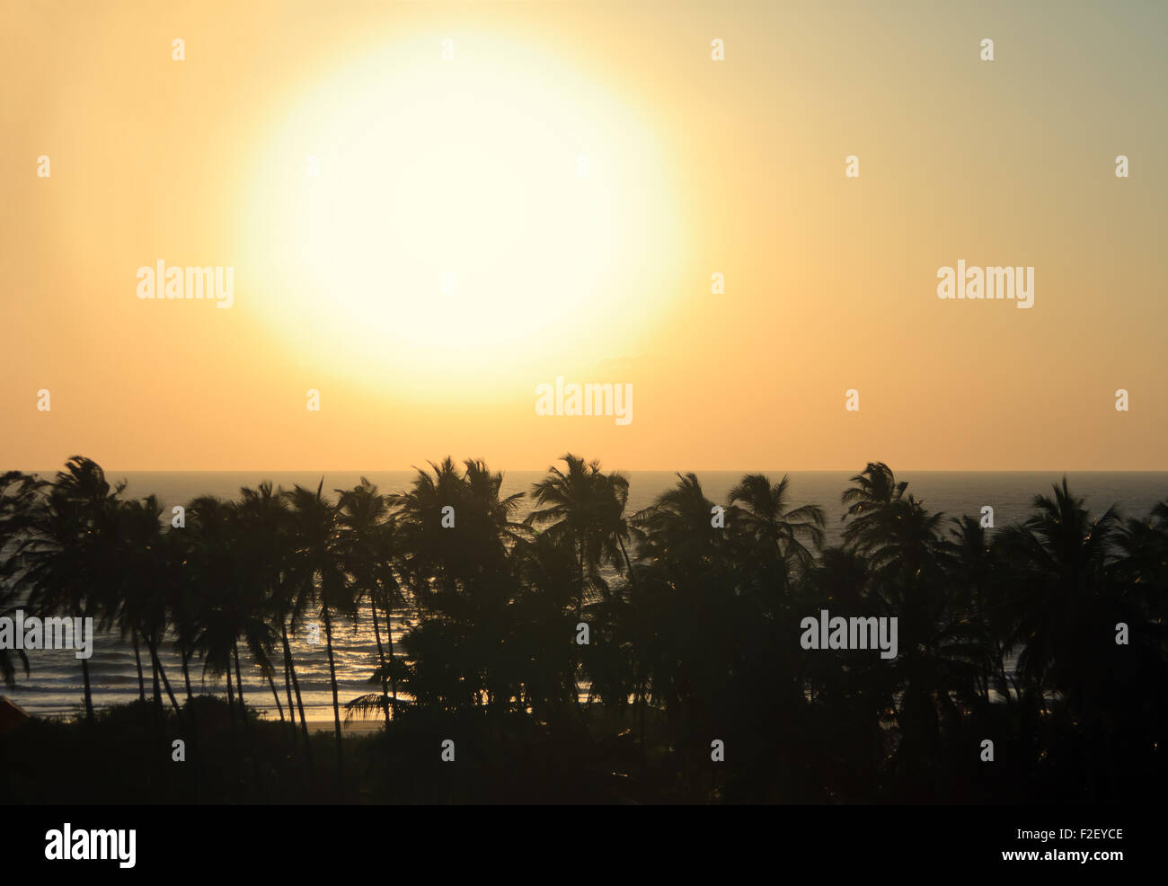 Palm Trees Silhouette At Sunset Stock Photo - Alamy