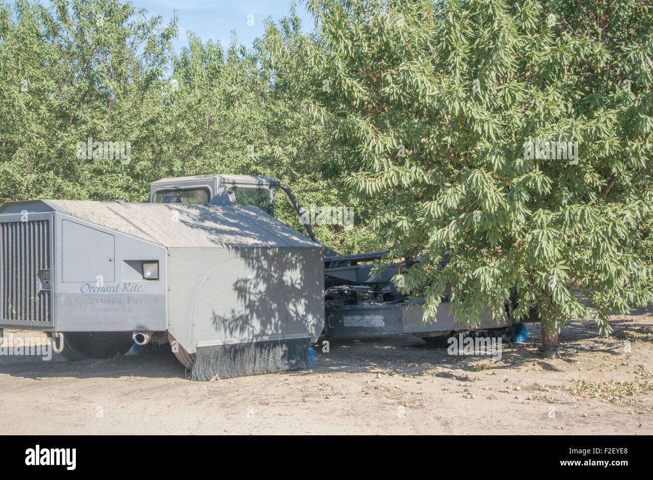 Almond Harvest High Resolution Stock Photography and Images - Alamy
