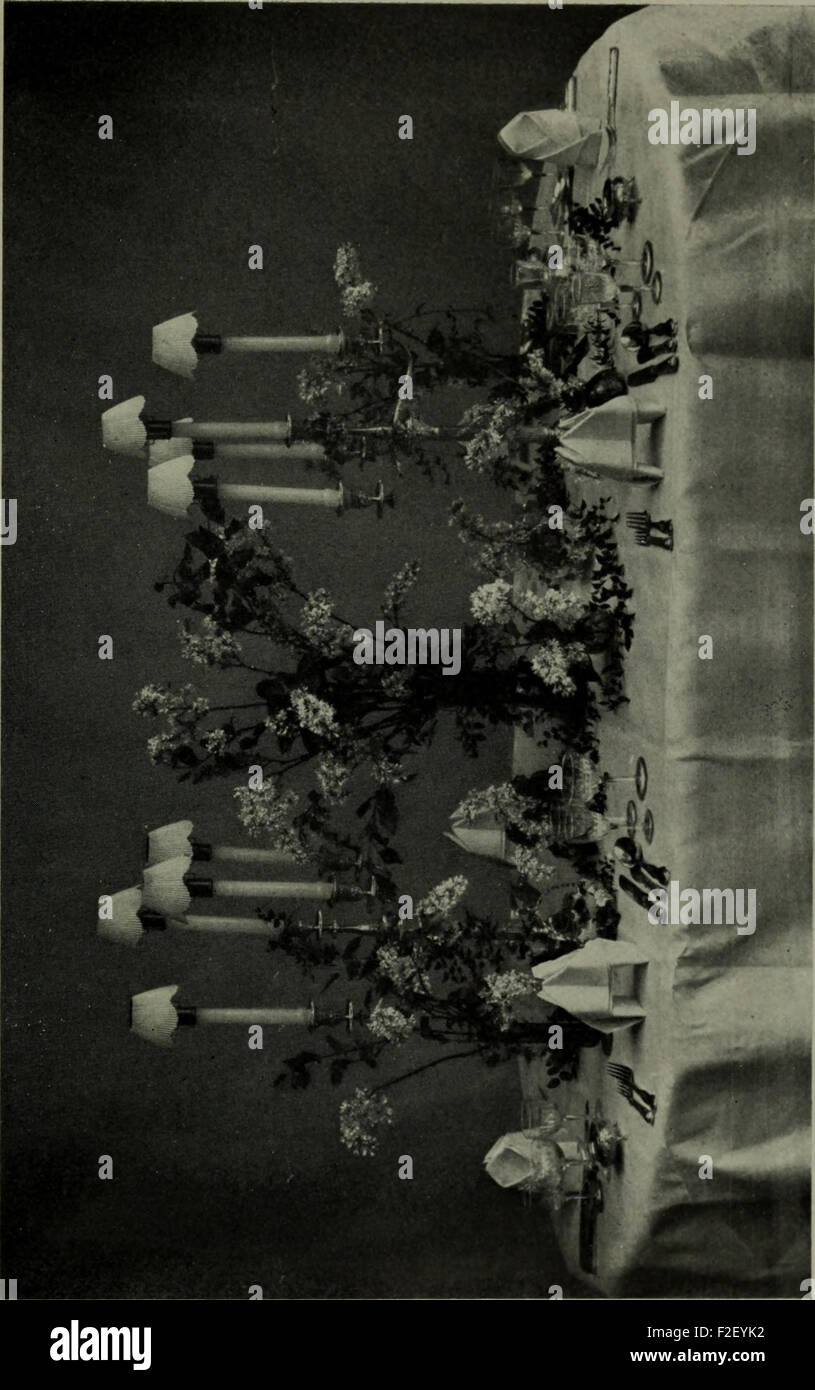 'The American Annual of Photography' (1911) is a comprehensive ...