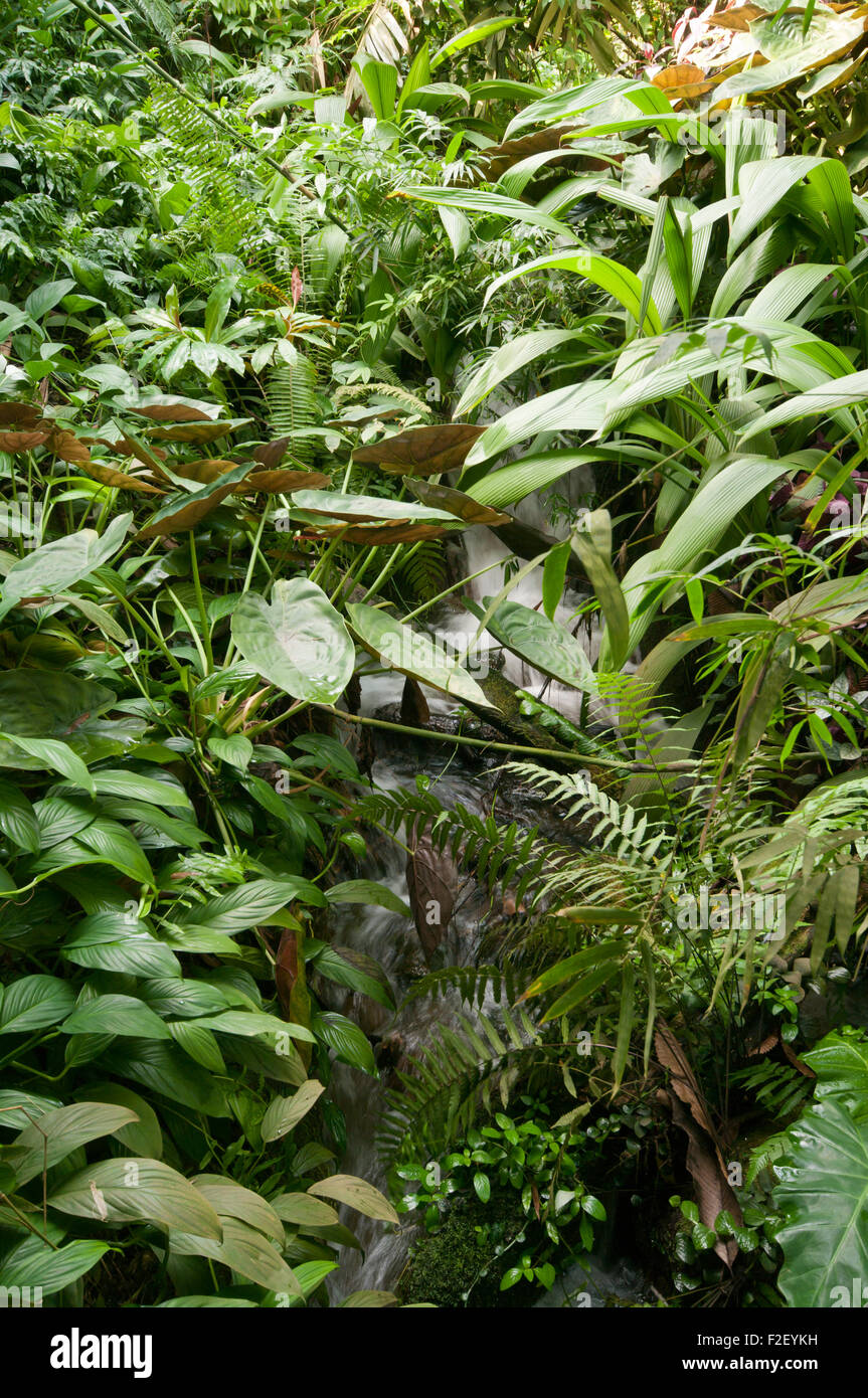 Eden project cornwall interior hi-res stock photography and images - Alamy
