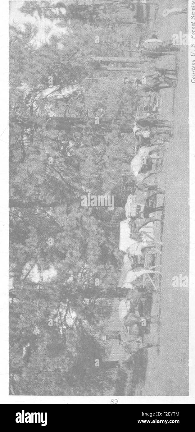 'The Book of Forestry' (1920) provides comprehensive guidelines on ...