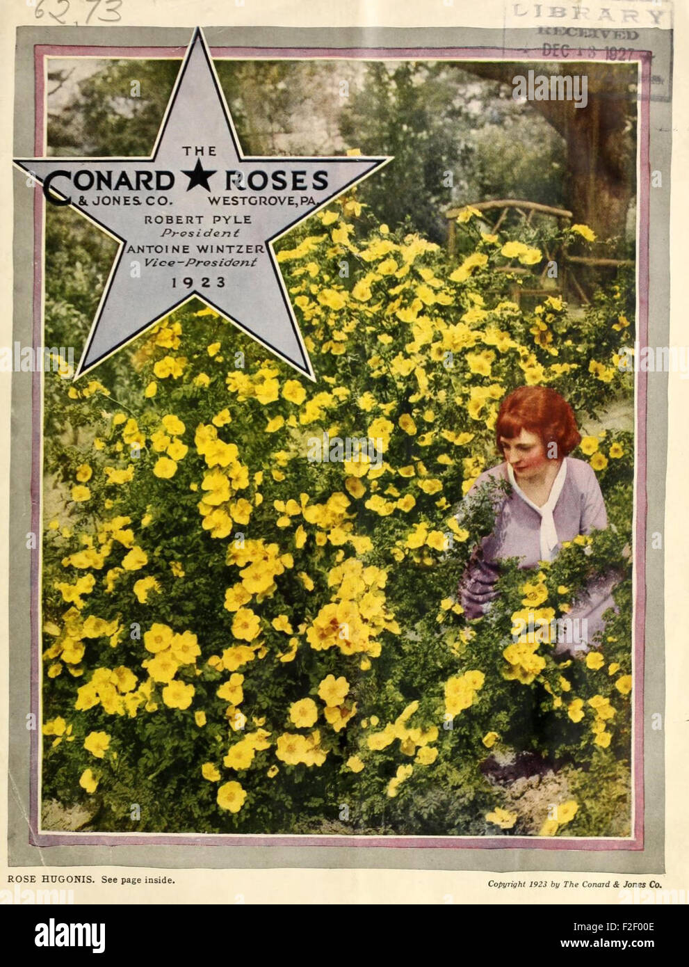 This catalog showcases the rose varieties offered by The Conard and ...