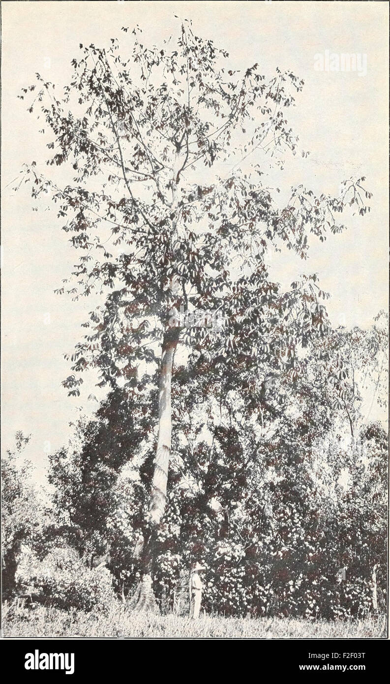 This 1903 work presents investigations and experiments on the ...