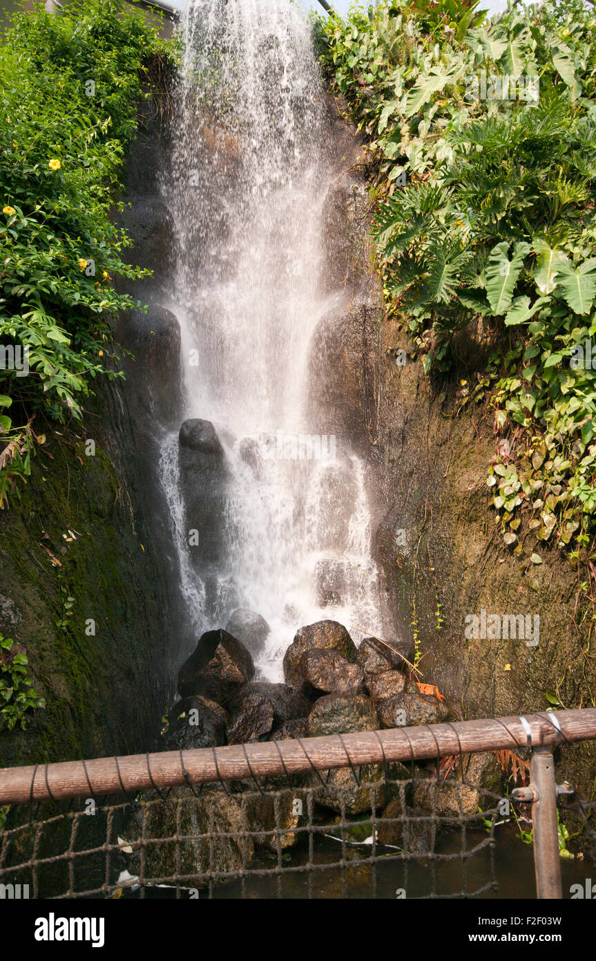 Waterfall Inside The Tropical Biome The Eden Project Cornwall England ...