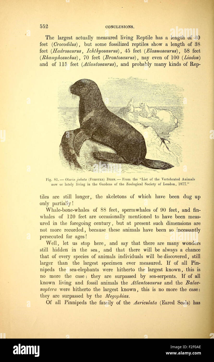 This edition of 'The Great Sea-Serpent' revisits various sea monster ...