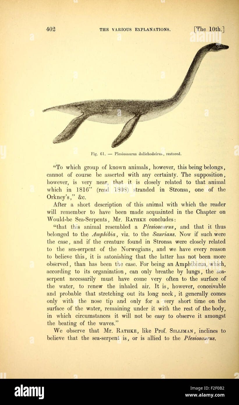 'The Great Sea-Serpent' is a historical account of sightings and ...
