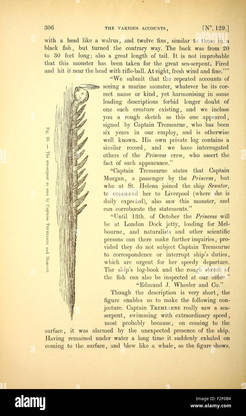 *The Great Sea-Serpent* explores the historical accounts and legends ...