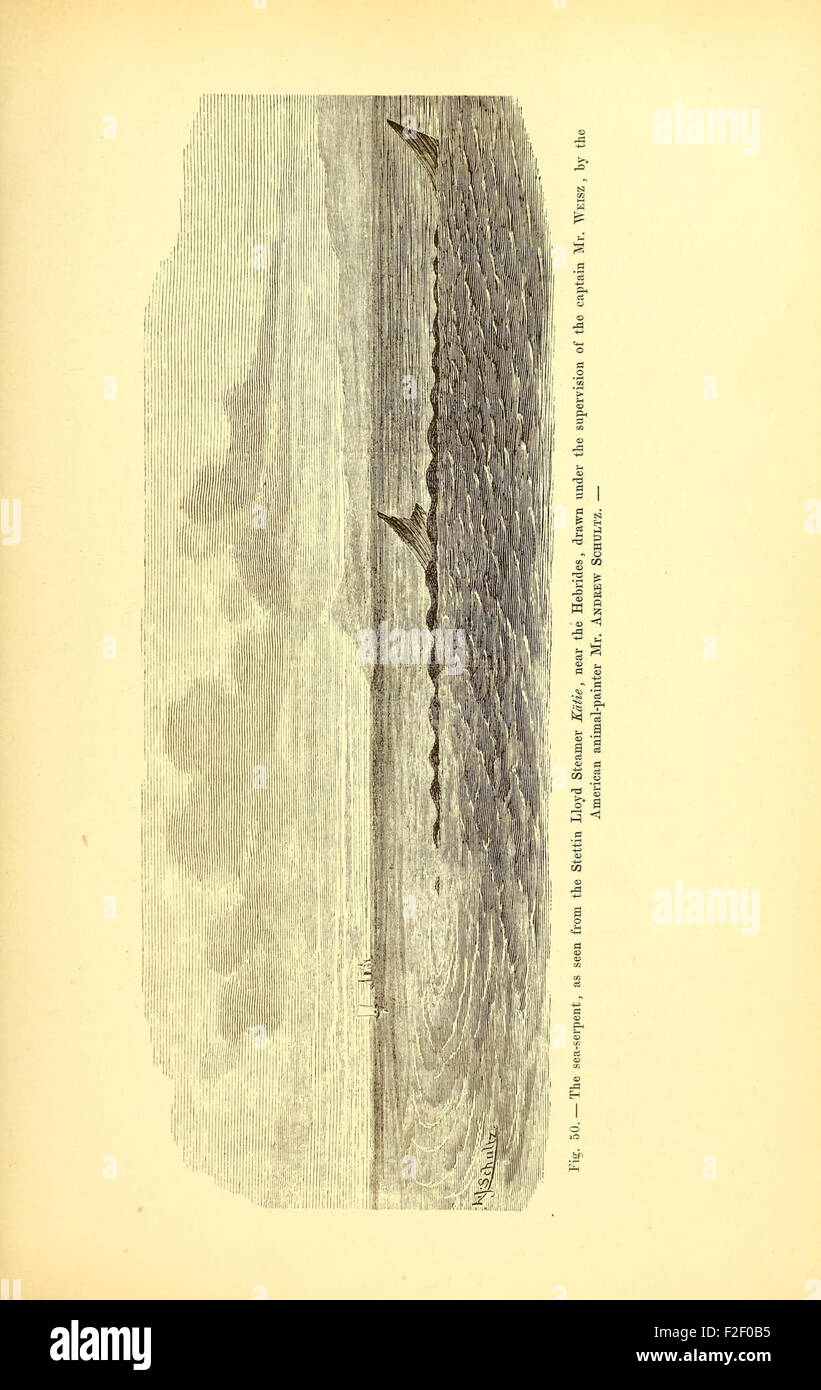 *The Great Sea-Serpent* explores the legend and reported sightings of a ...