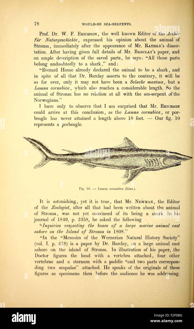 'The Great Sea-Serpent' explores the legendary creature often sighted ...