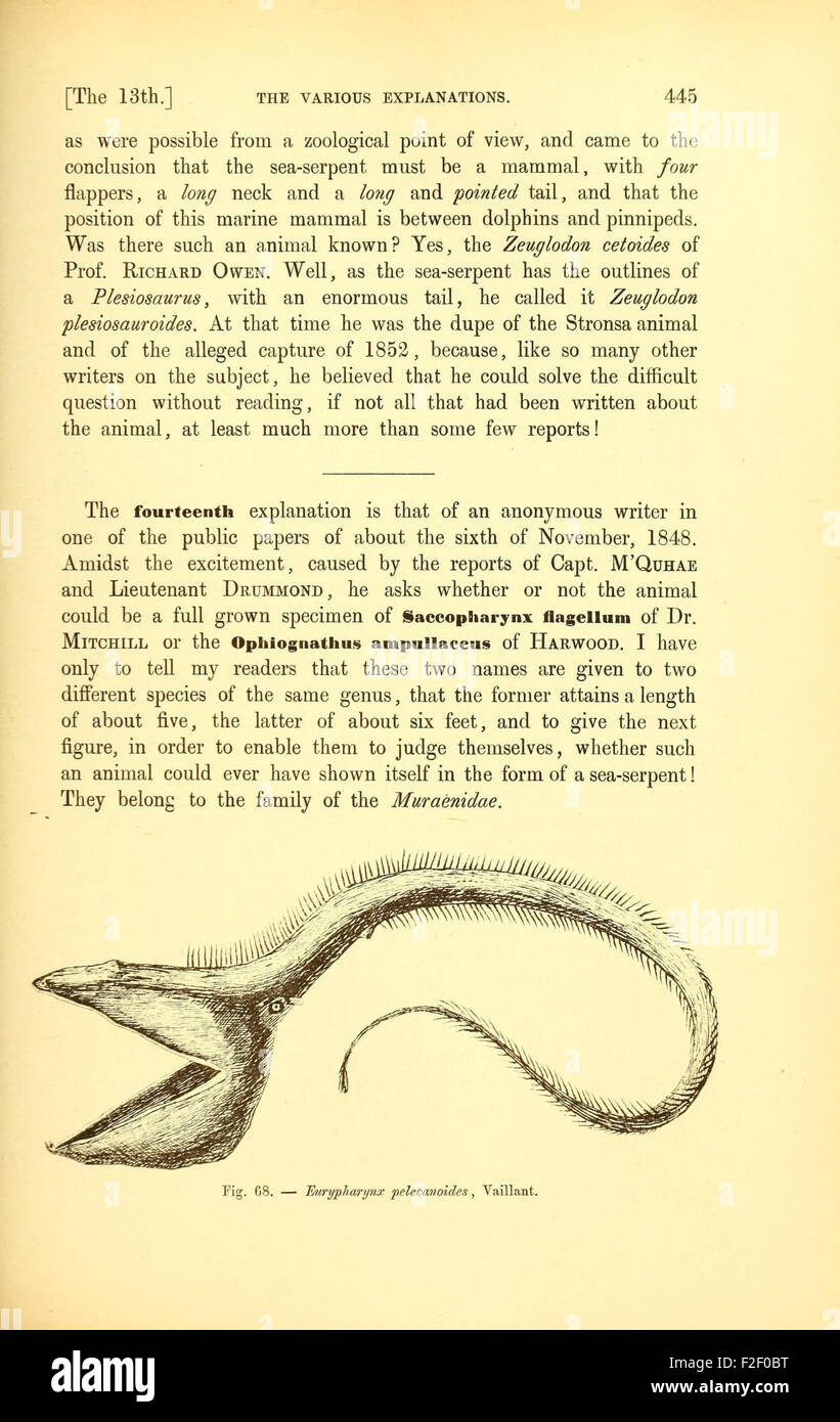 This historical work explores the myth of the sea-serpent, examining ...