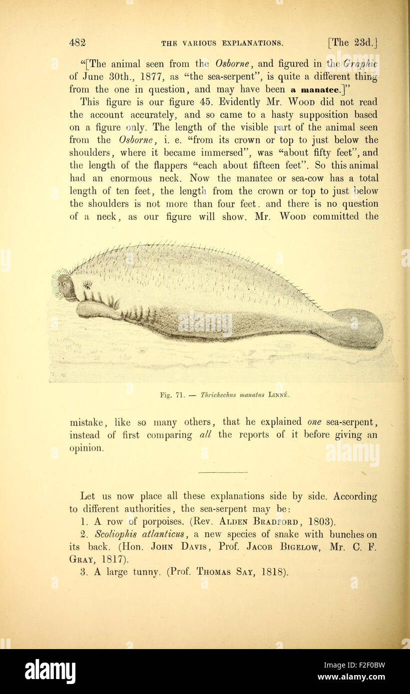 *The Great Sea-Serpent* explores historical accounts and sightings of ...