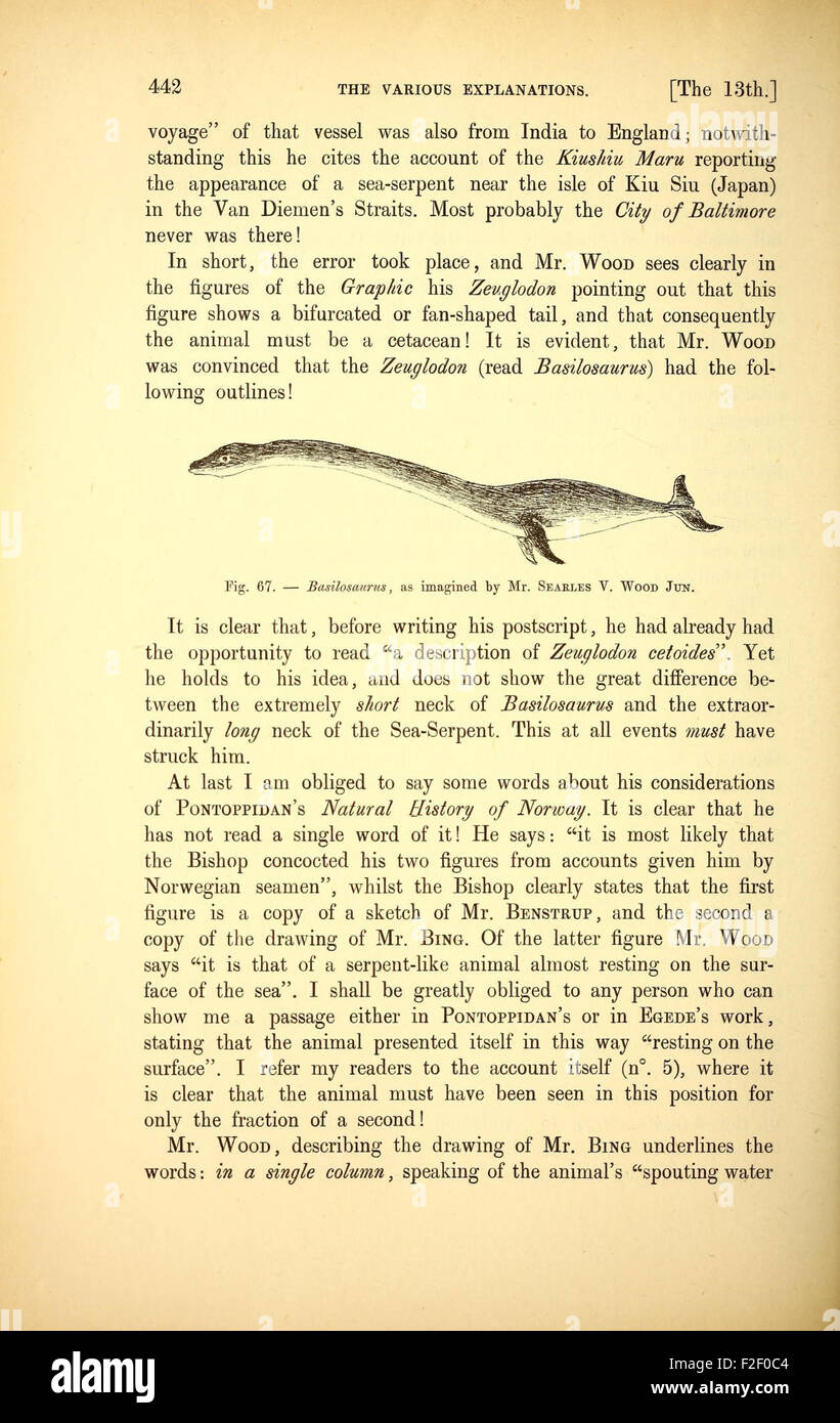 'The Great Sea-Serpent' is an exploration of the legendary creature ...