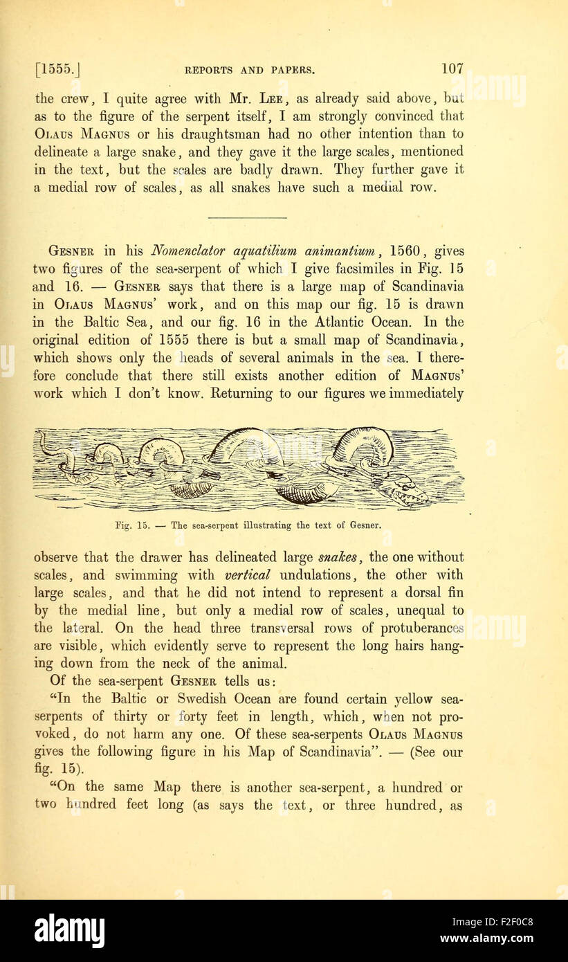 *The Great Sea-Serpent* explores the legends and reports of giant sea ...