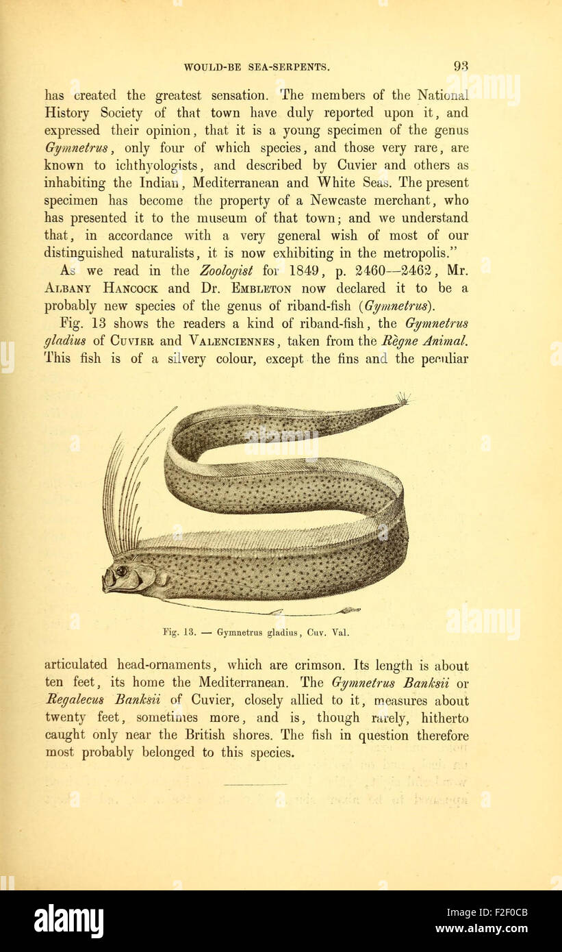 This historical book examines the legend and sightings of the great sea ...