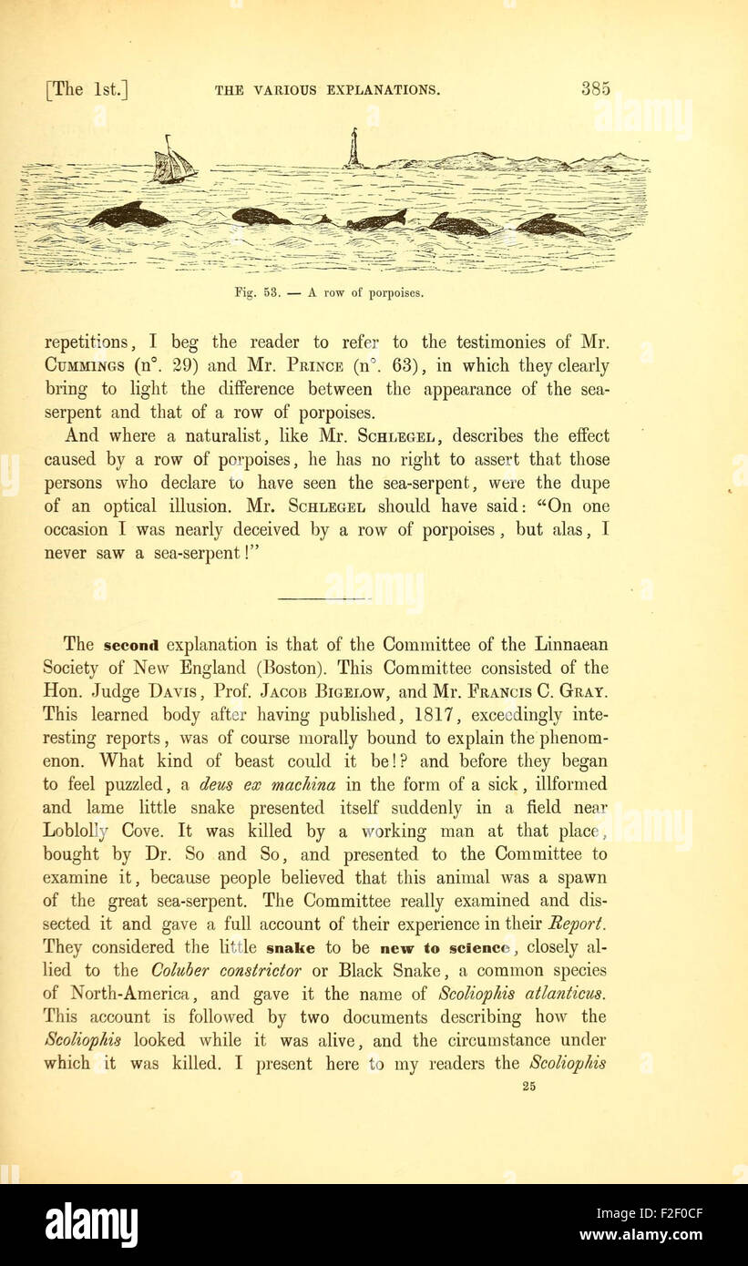 *The Great Sea-Serpent* explores historical and mythical accounts of ...