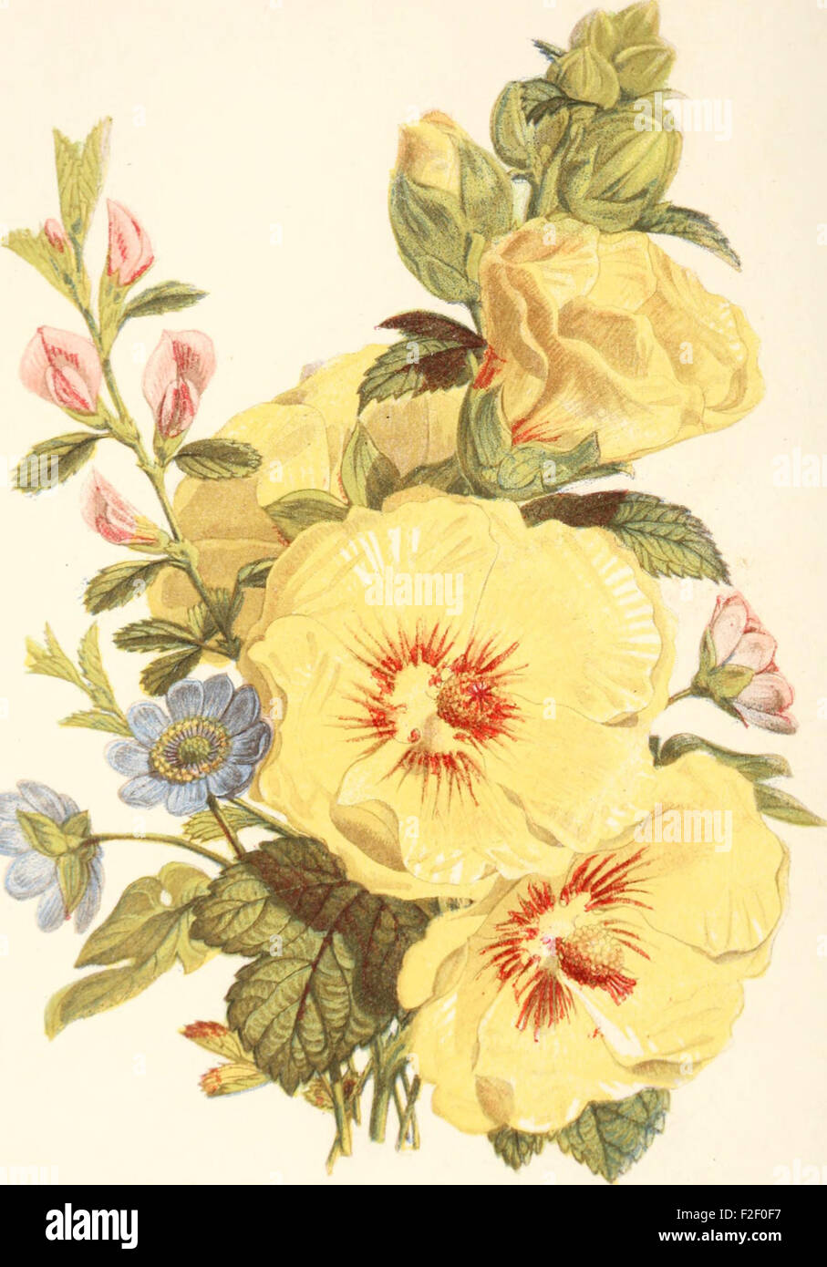 'The Language of Flowers' (1869) explores the symbolic meanings behind ...