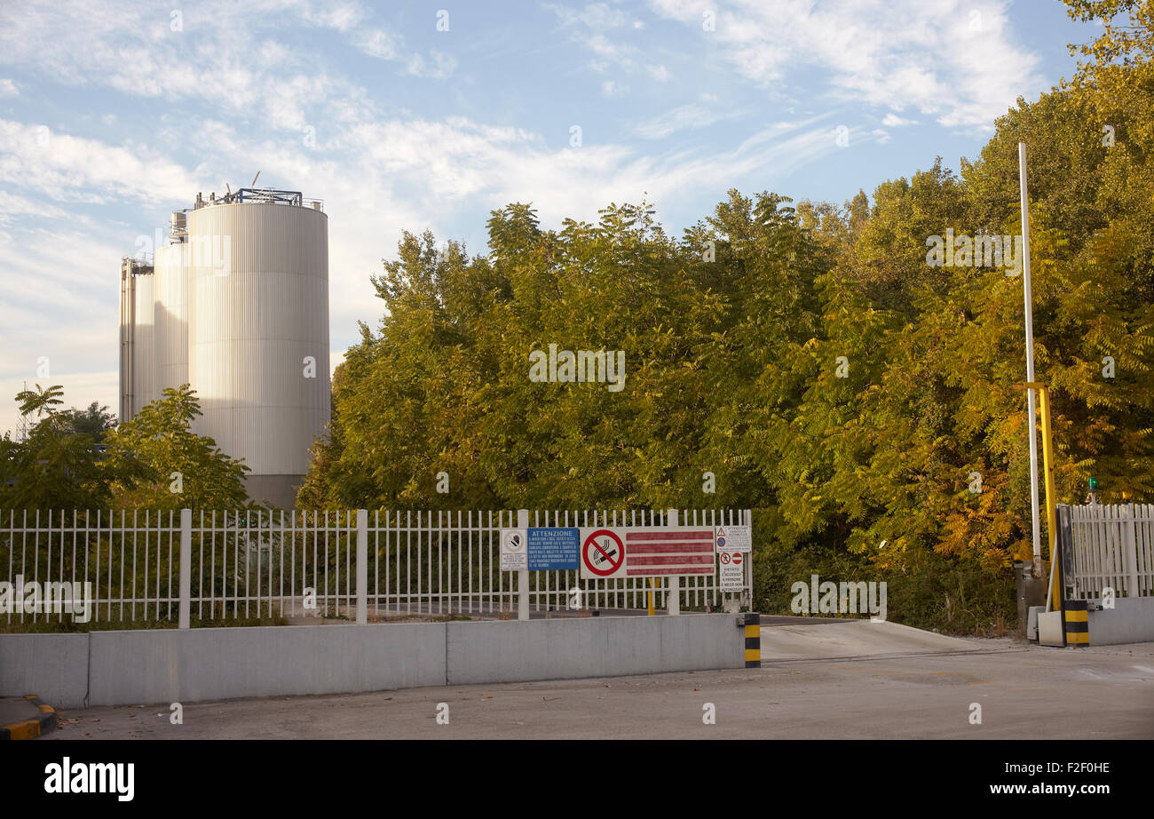 Silus hi-res stock photography and images - Alamy