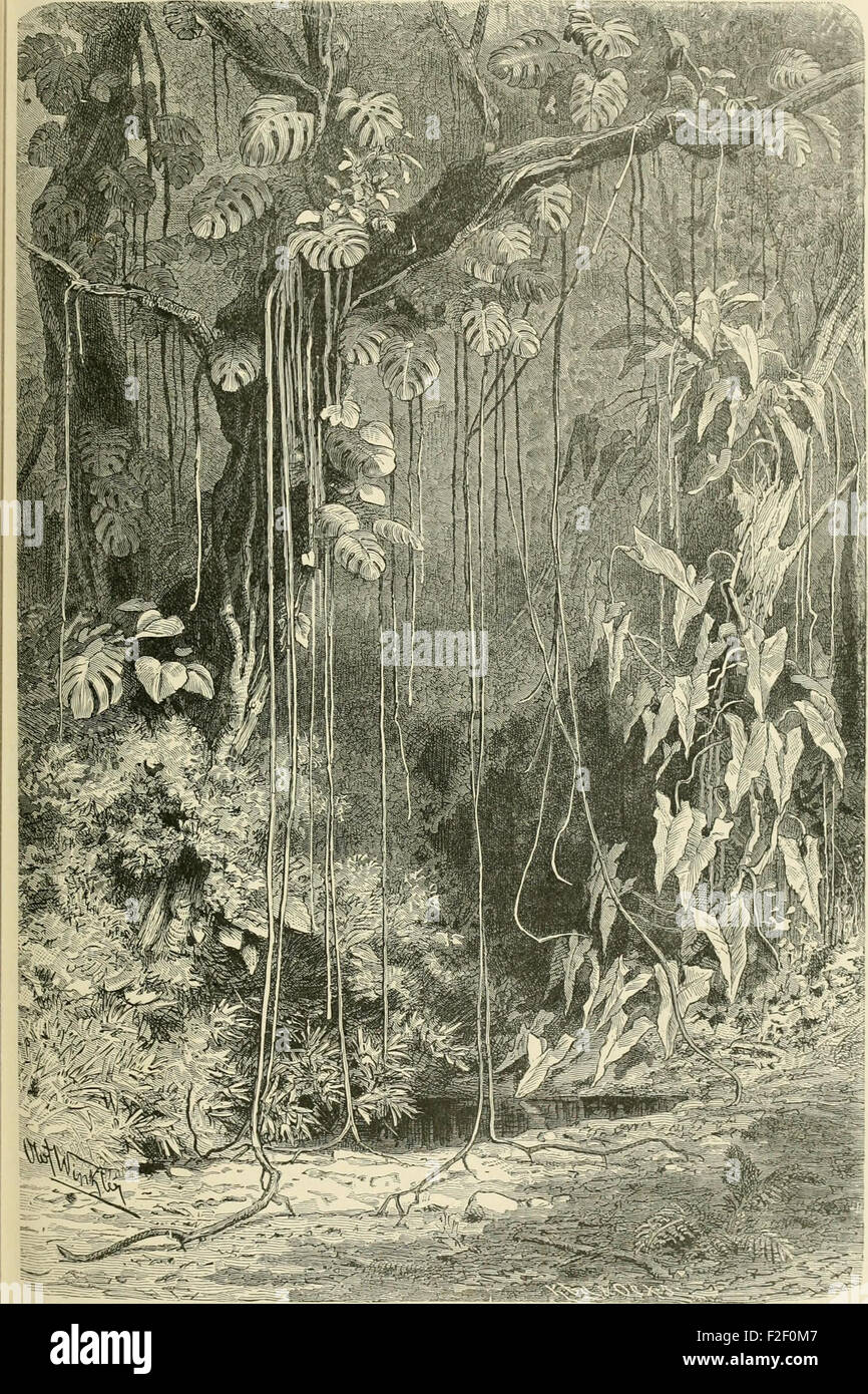 This 1902 work explores the natural history of plants, focusing on ...