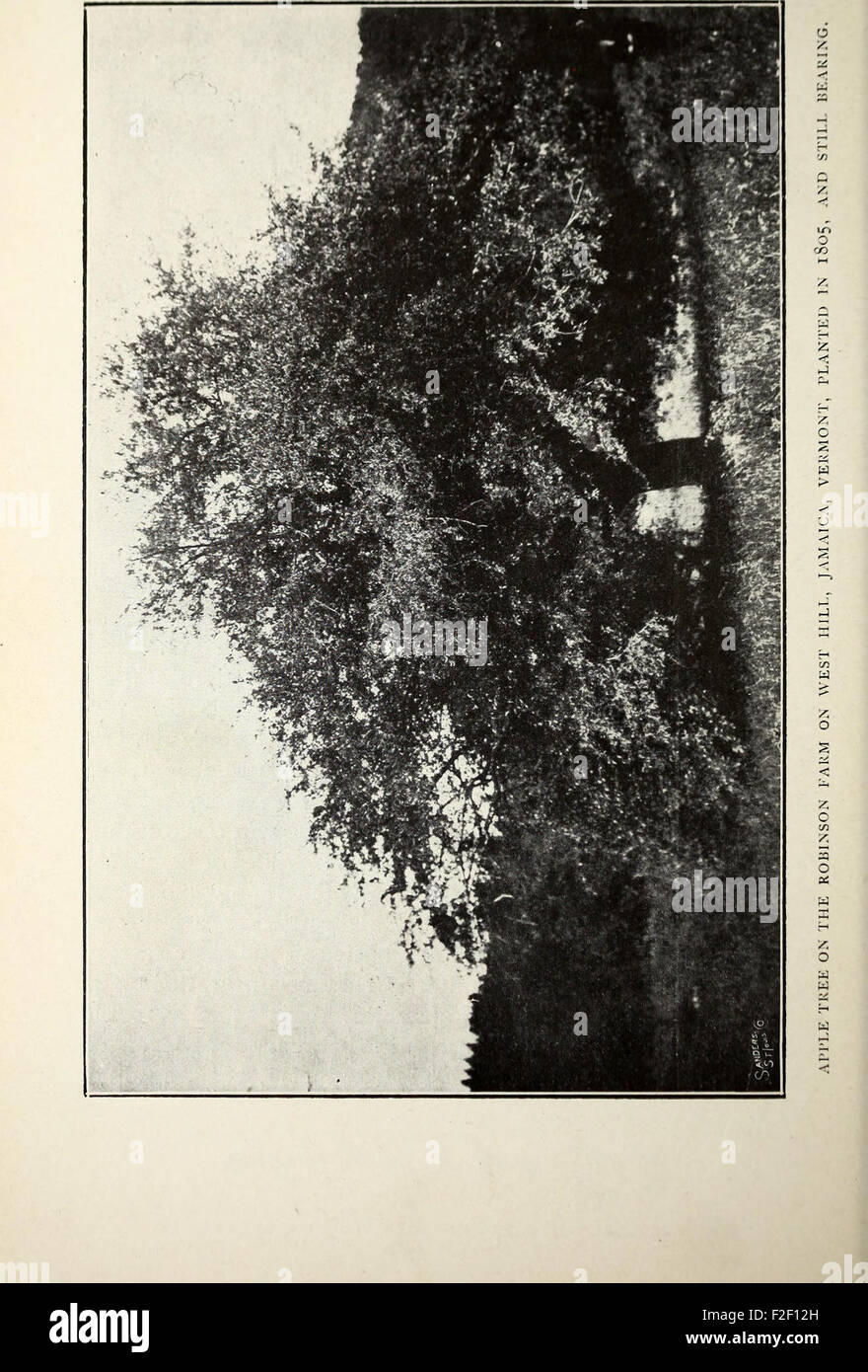 *The Robinsons and Their Kin Folk* (1912) provides a family history ...