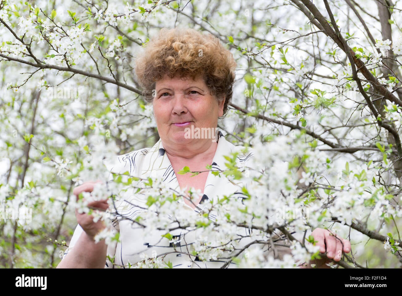 Mature spring flowers hi-res stock photography and images - Alamy