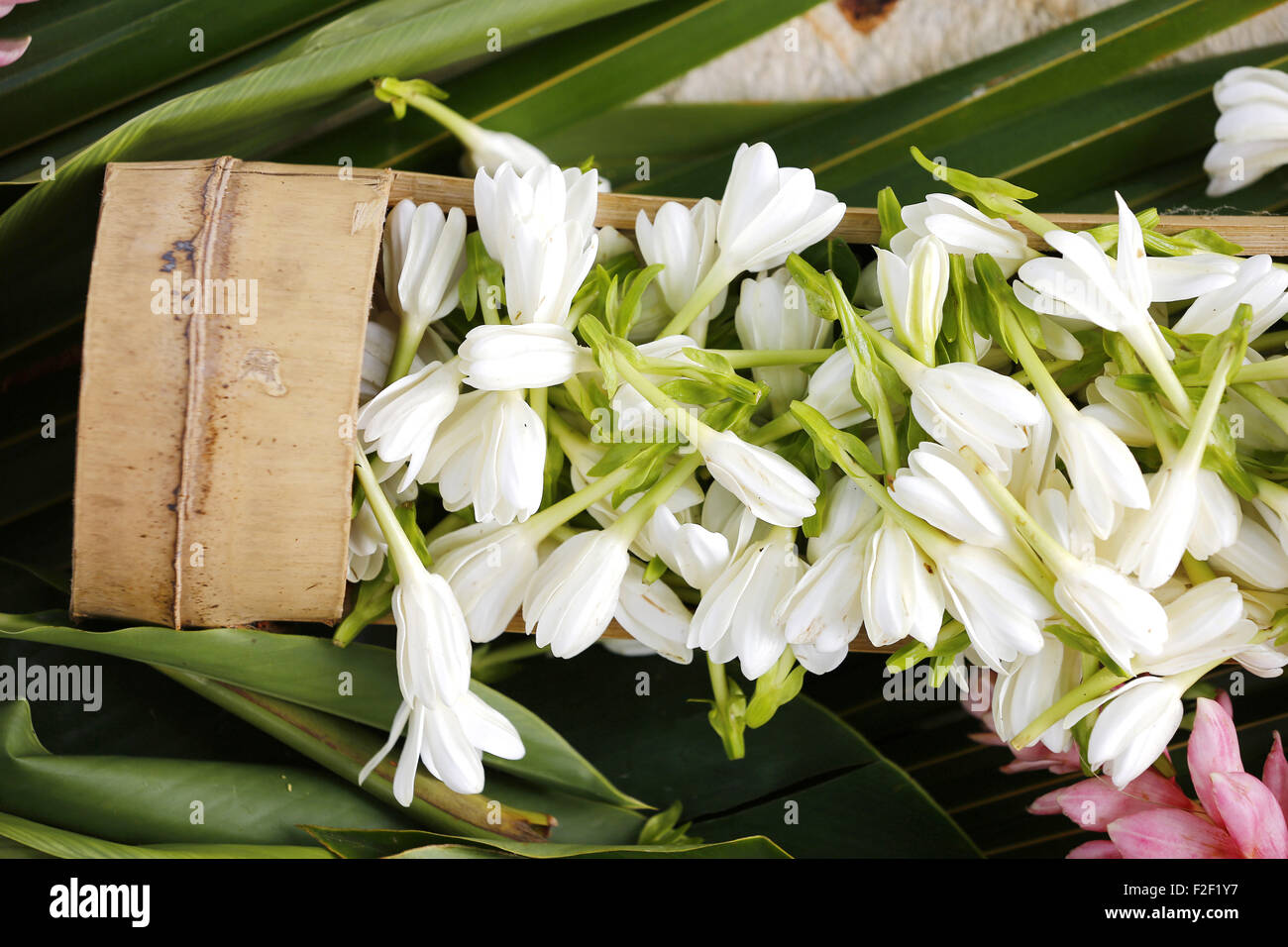 Tiare flower hi-res stock photography and images - Alamy