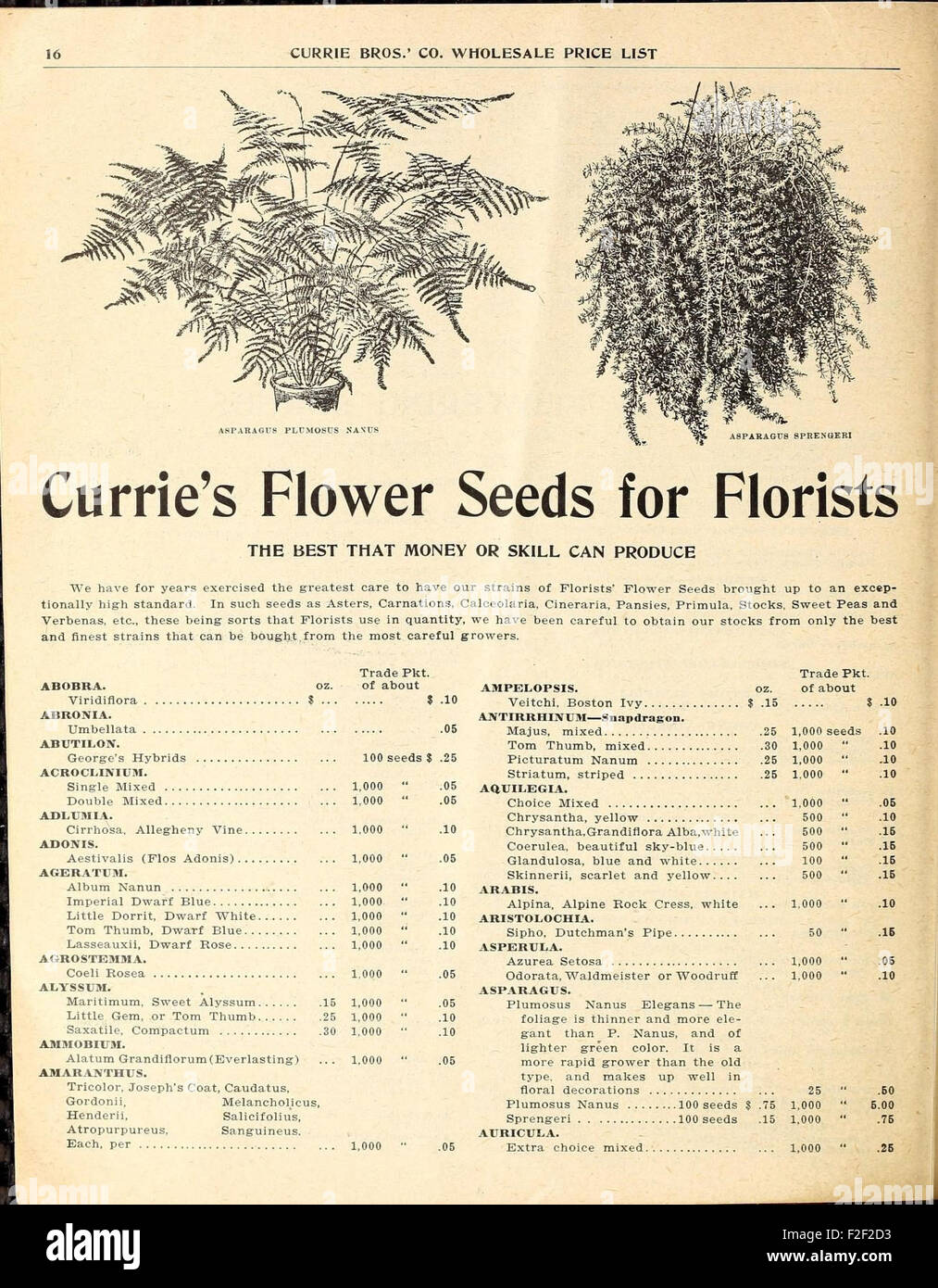 This catalog presents the wholesale prices of various plants, including ...