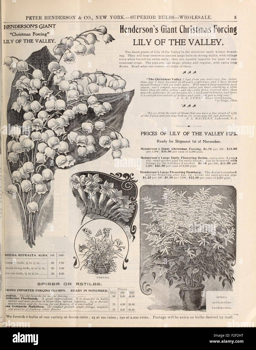 This wholesale catalog provides prices and details for florists and ...