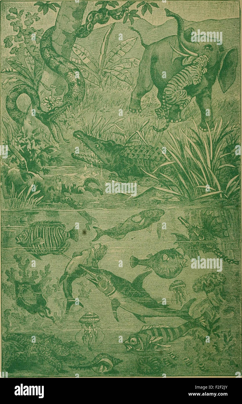 Speke map hi-res stock photography and images - Alamy