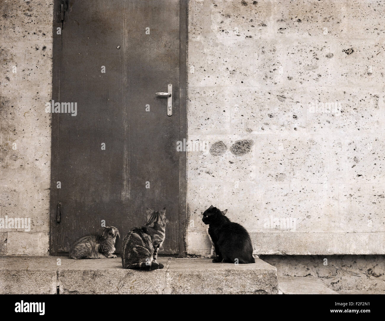 Artwork in retro style, cats, outside Stock Photo - Alamy