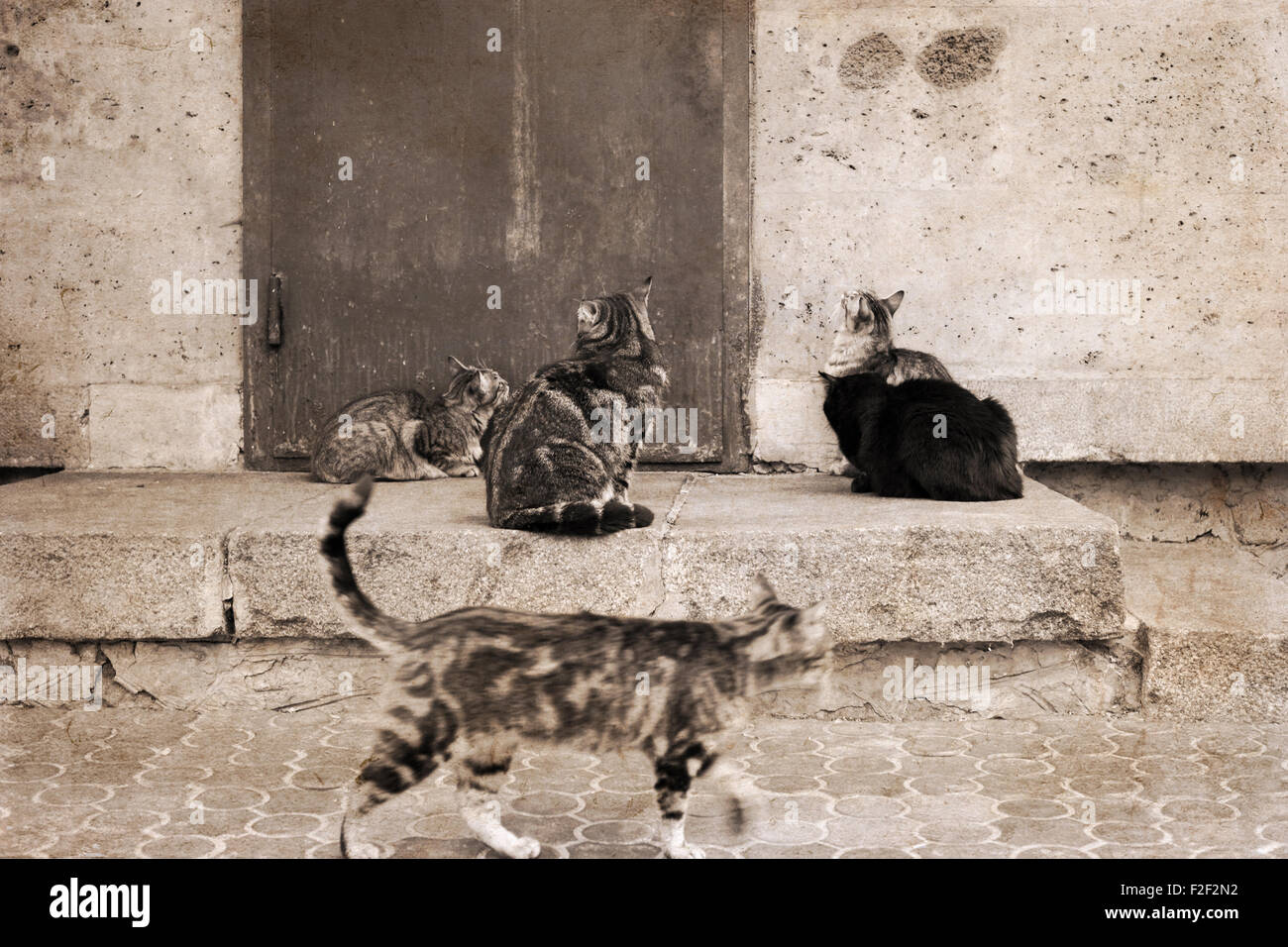 Artwork in retro style, cats, outside Stock Photo - Alamy