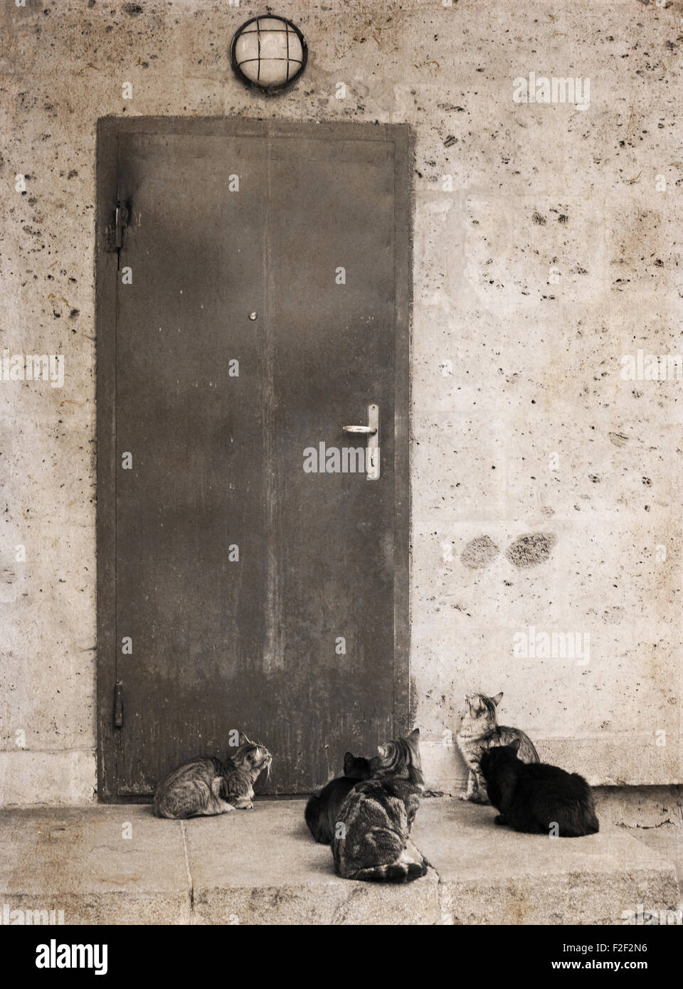 Artwork in retro style, cats, outside Stock Photo - Alamy