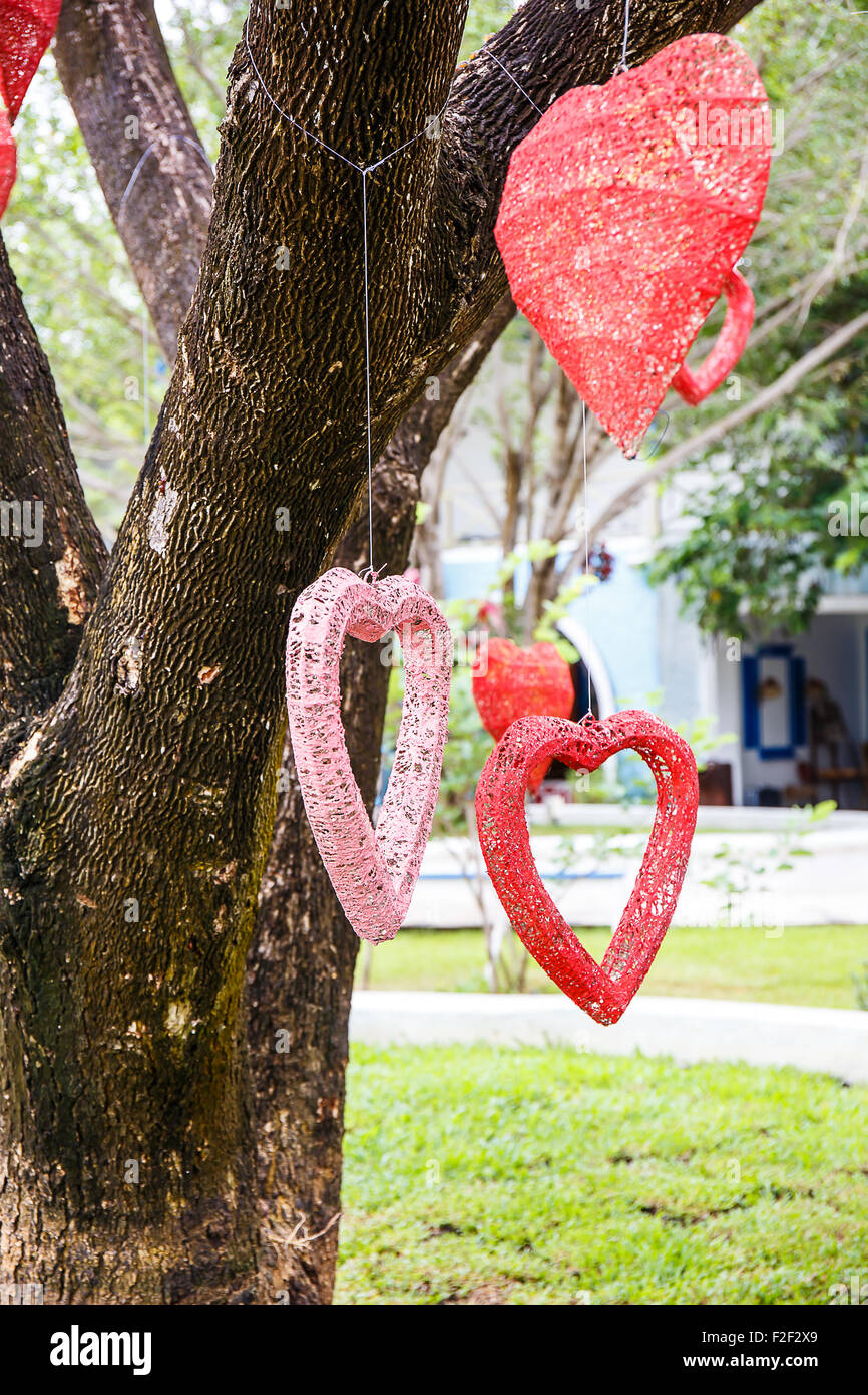 Heart hanging on a tree Stock Photo - Alamy