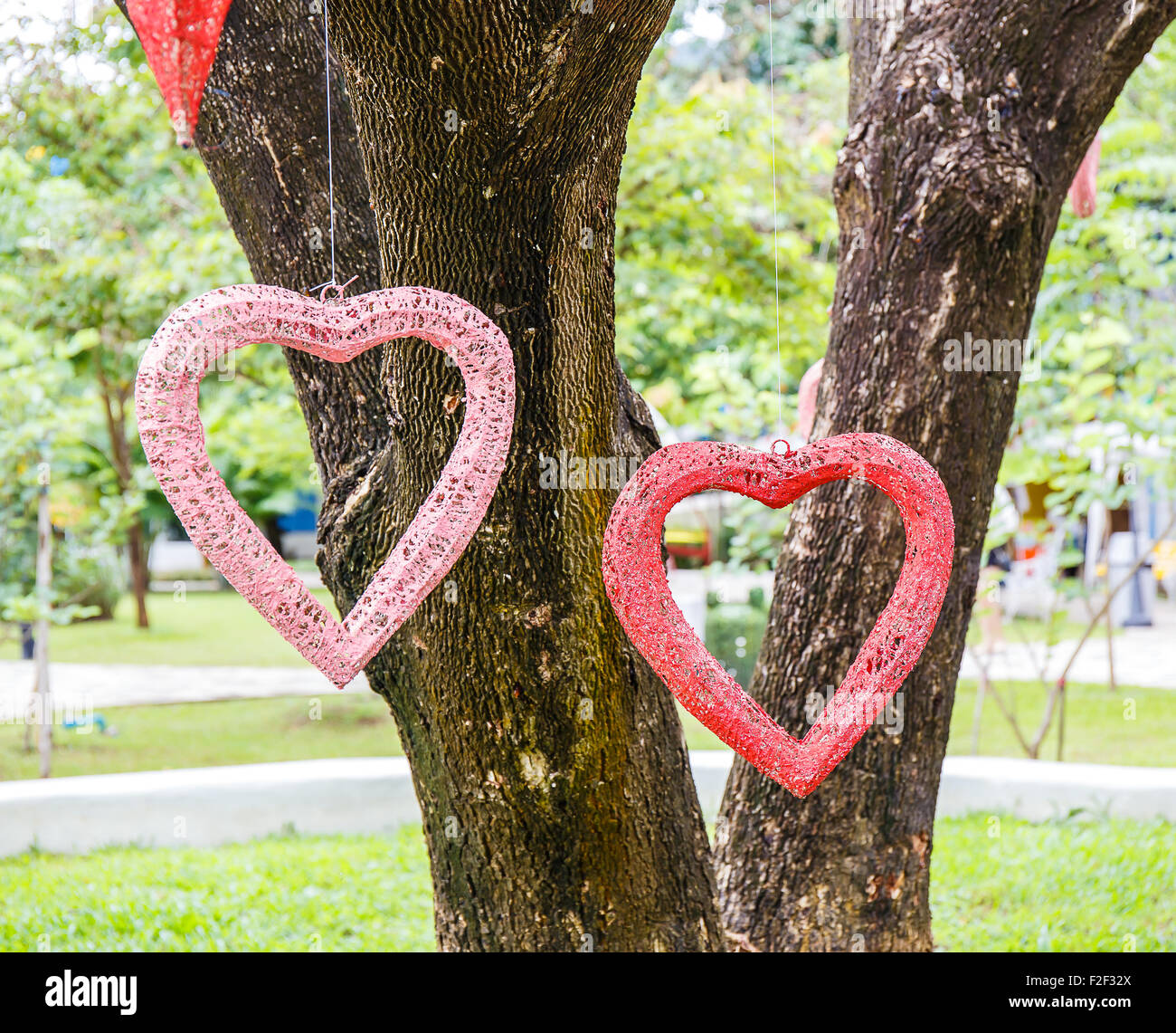 Heart hanging on a tree Stock Photo - Alamy
