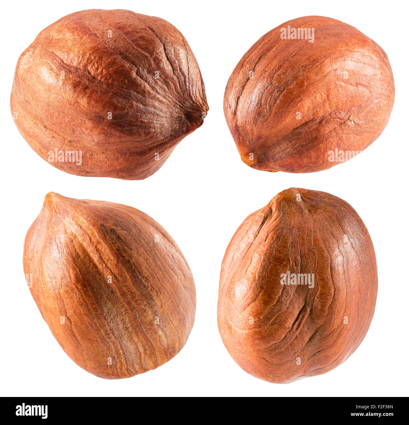 collection of hazelnuts isolated on the white background Stock Photo ...
