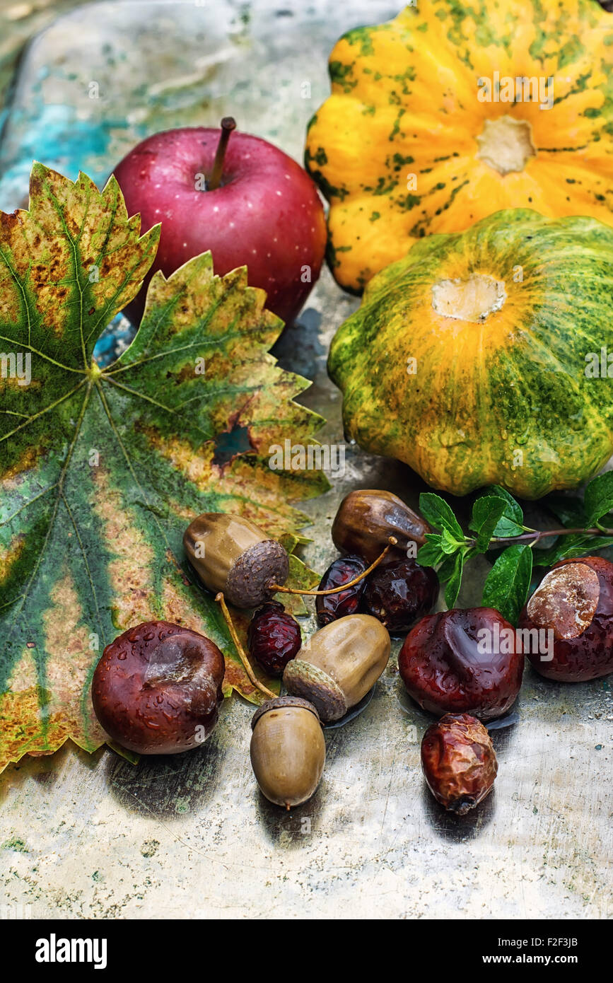Autumn still life Stock Photo - Alamy