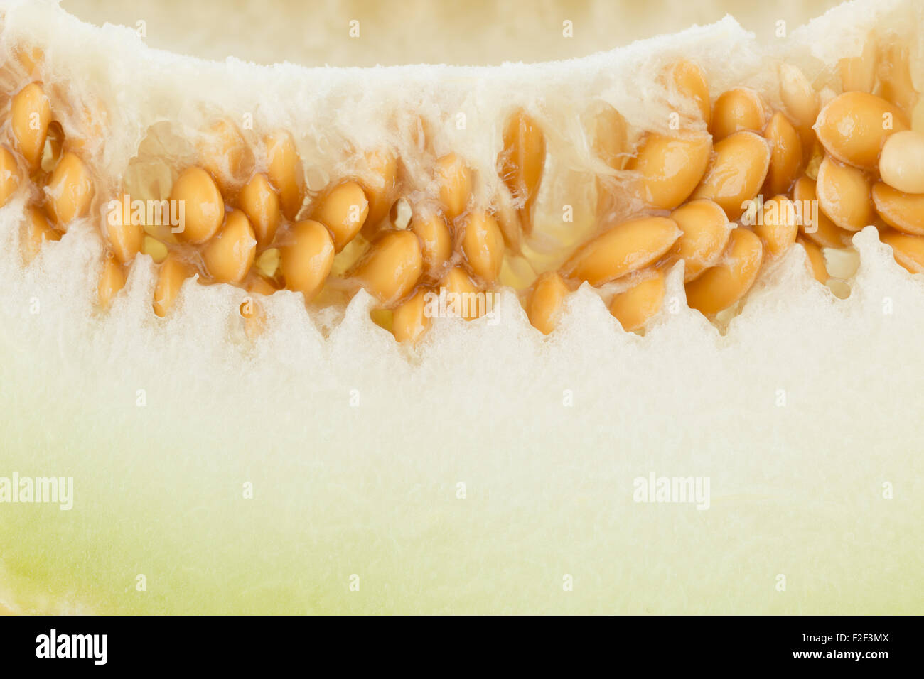 Melon hi-res stock photography and images - Alamy