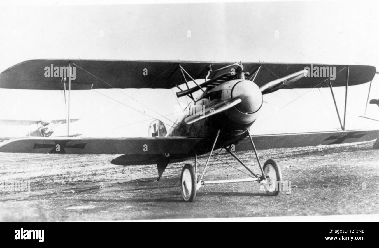 The Albatros D-3, a German World War I fighter aircraft, is depicted in ...