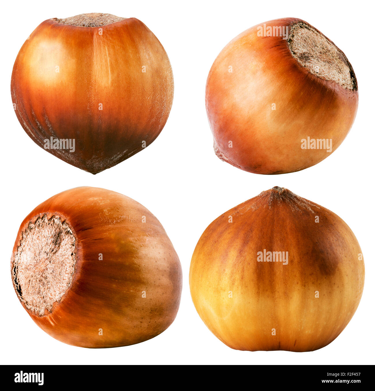 Hazelnut hi-res stock photography and images - Alamy